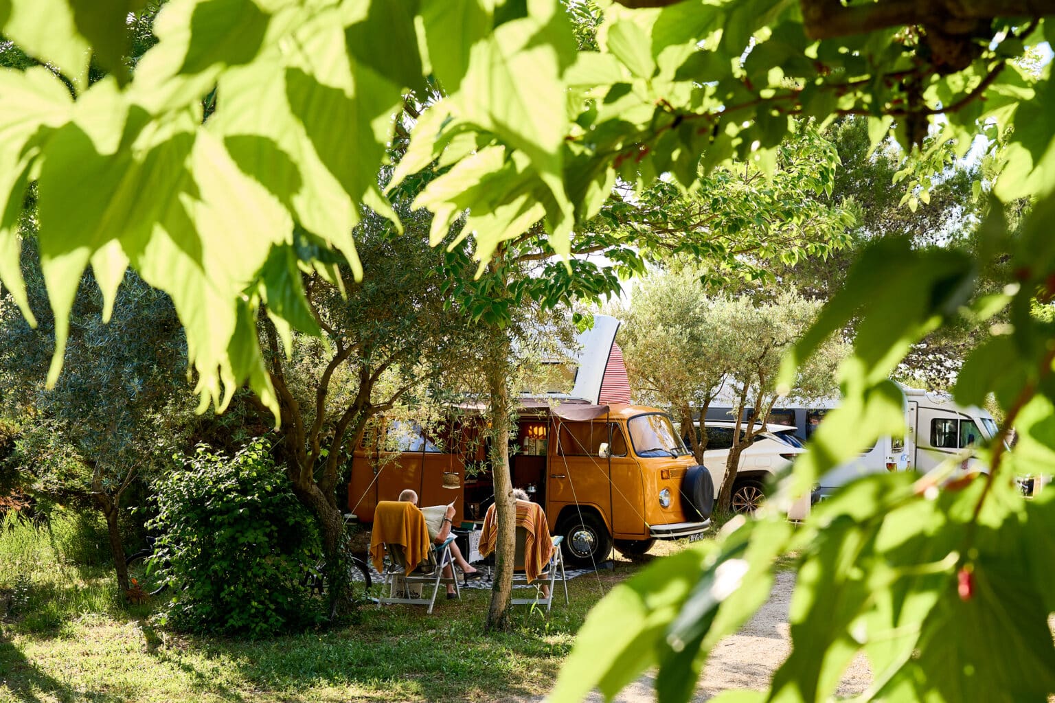 Camping 3 étoiles près du Mont Ventoux, Vaucluse